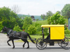 40 Strange Rules & Fascinating Customs Of The Amish Culture - Page 24 ...